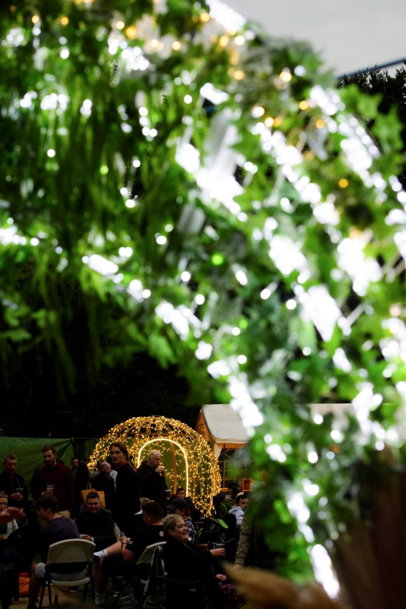 Seasonal Displays Gallery - Fizzco Projects