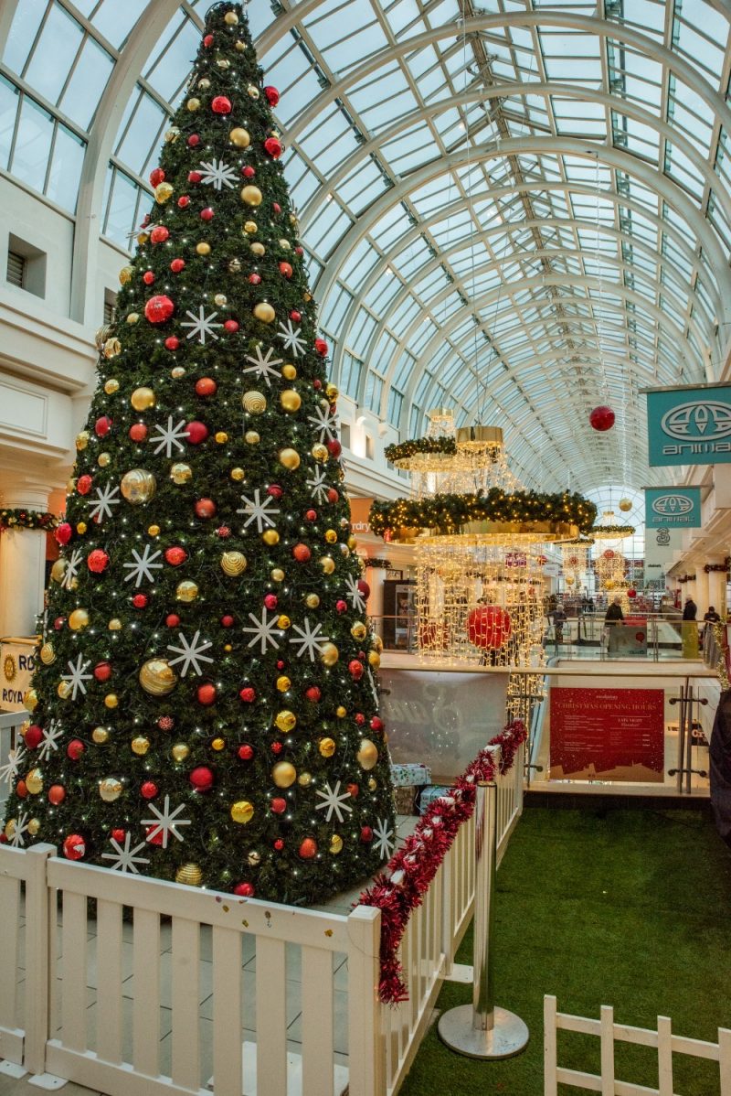 Giant Christmas Trees Gallery - Fizzco Projects