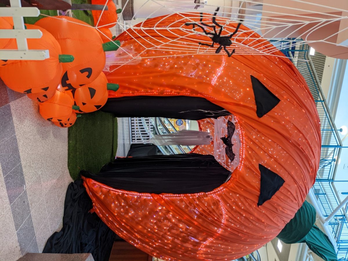 Seasonal Displays Gallery - Fizzco Projects